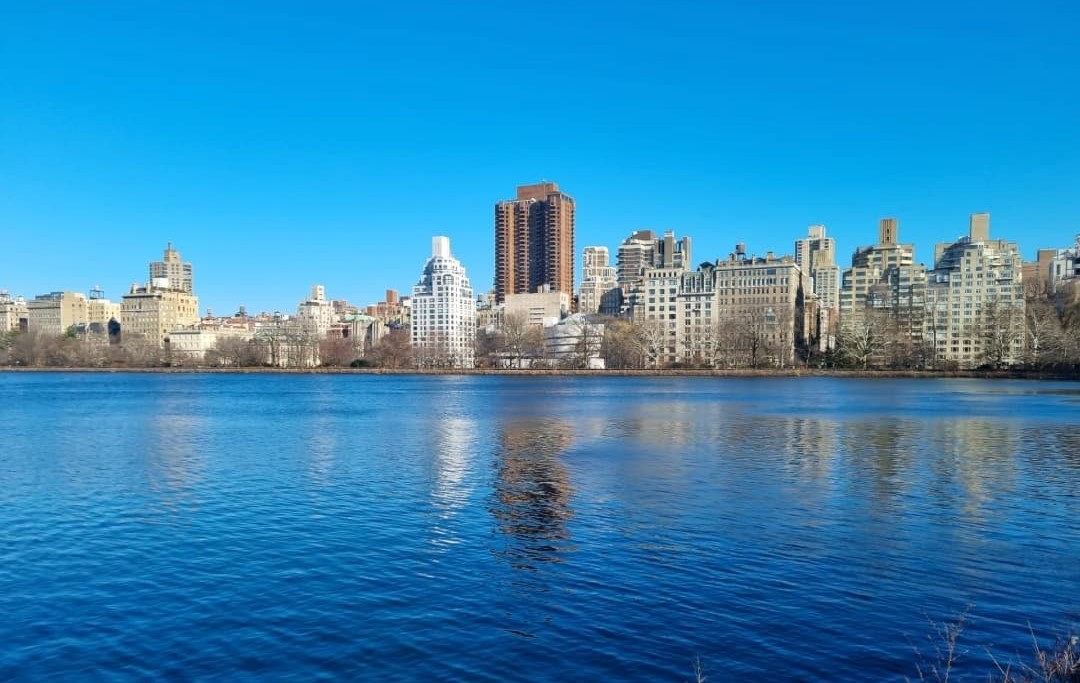 Stage als stevige bagage: Het groeitraject van Laura De Backer ...